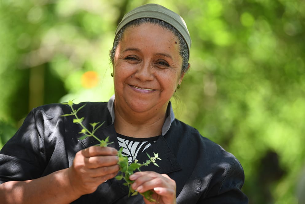 Y un día… la peperina se hizo alfajor